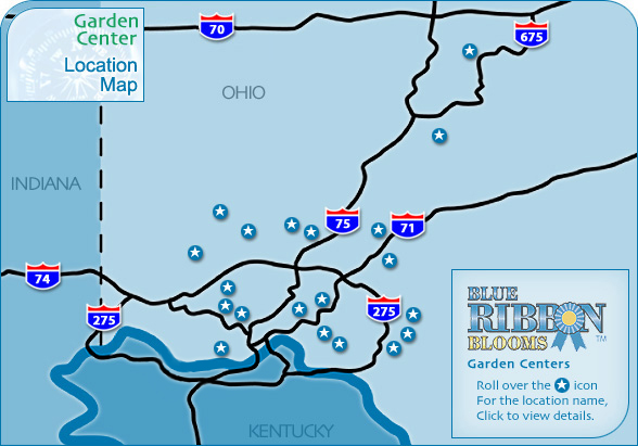 Welcome to Blue Ribbon Blooms